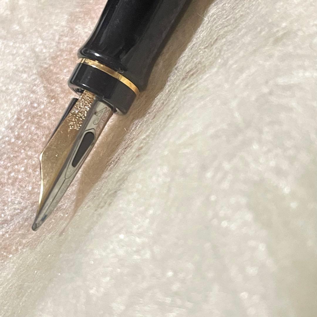 ウォーターマン　万年筆 ペン　セット　WATERMAN ワインレッド