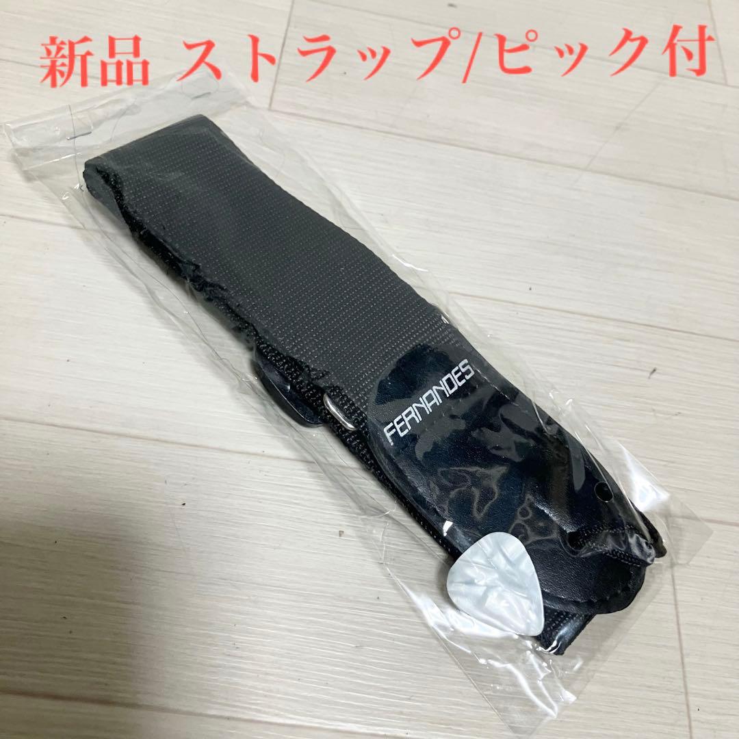 【弦新品/クリーニング済】SELDER セルダー ストラトタイプ エレキギター