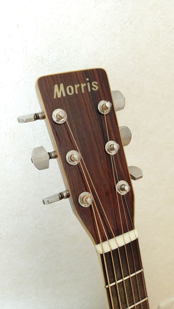 Morris W-30 モーリス アコースティックギター