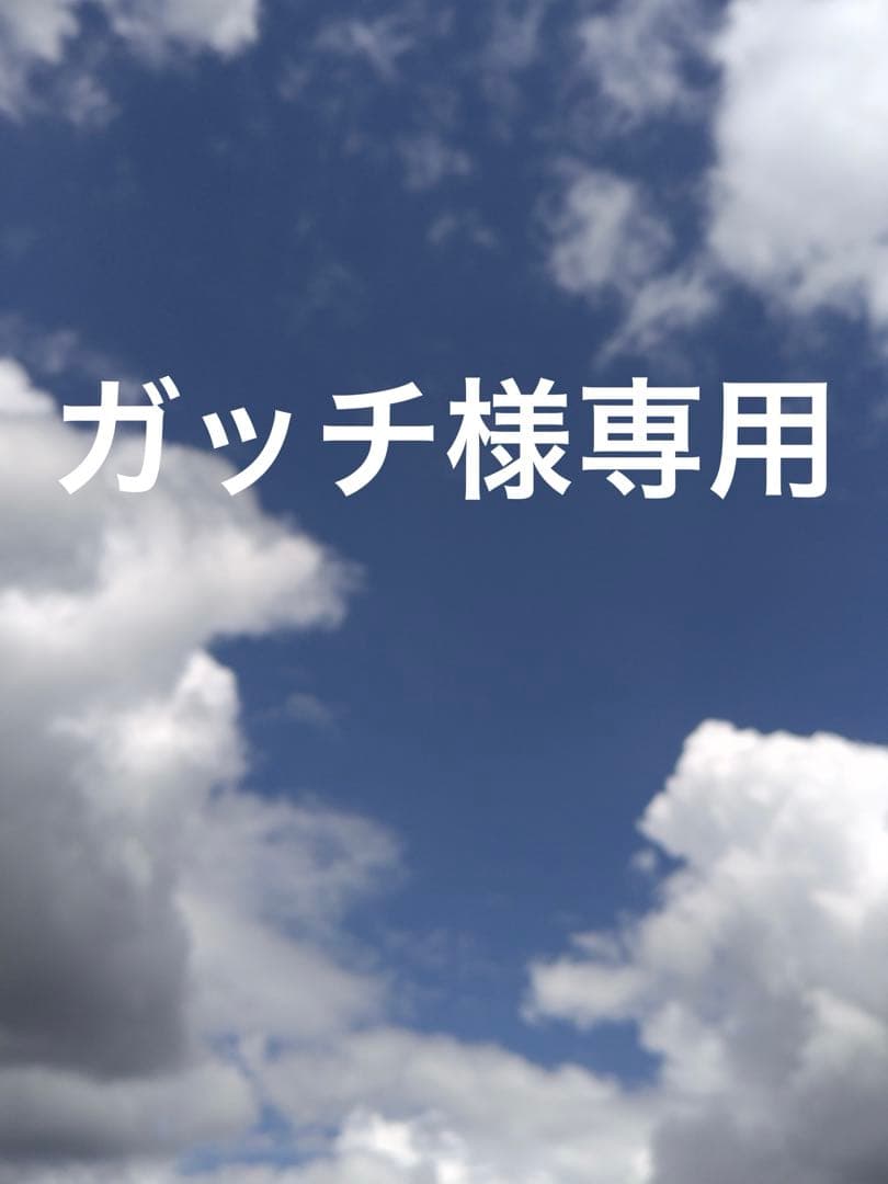 カステララスク ビスコチョ 長崎カステラ切り落とし ガッチ