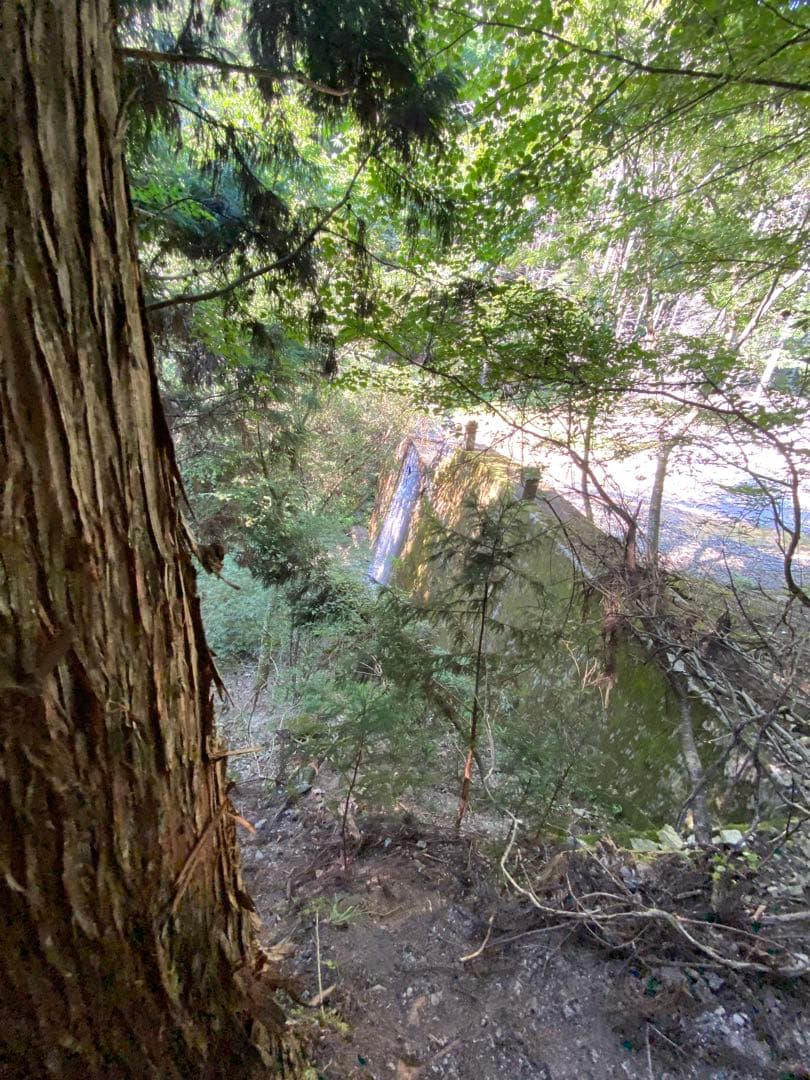 ハチミツ　日本蜜蜂の蜂蜜　奥山の奥のはちみつ　巣箱違い谷違いのハチミツ４種