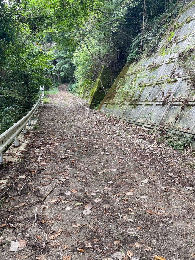 ハチミツ　日本蜜蜂の蜂蜜　奥山の奥のはちみつ　巣箱違い谷違いのハチミツ４種