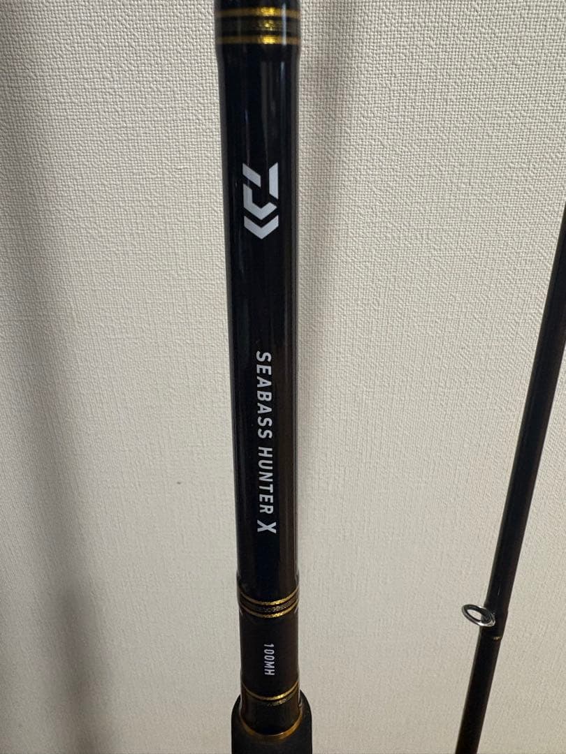 ロッド Daiwa SEABASS HUNTER X 100MH
