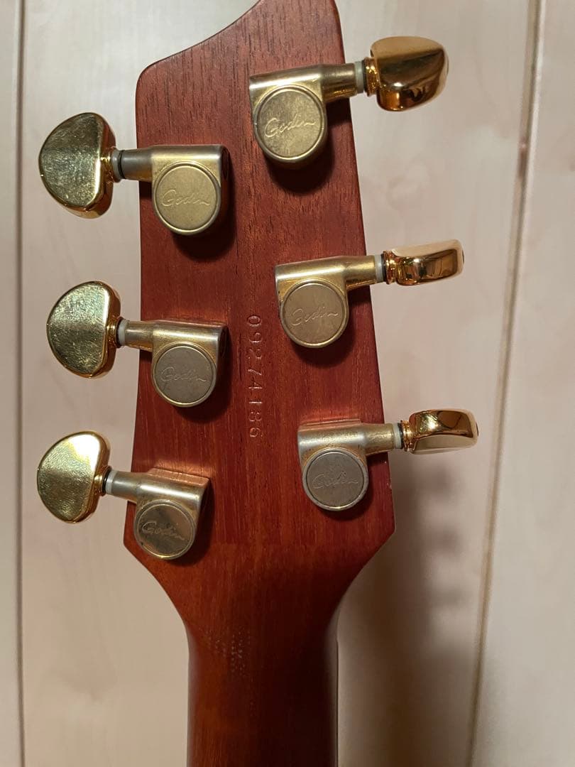 godin セミアコ　ゴダン　ギター　アコギ　dimarzio