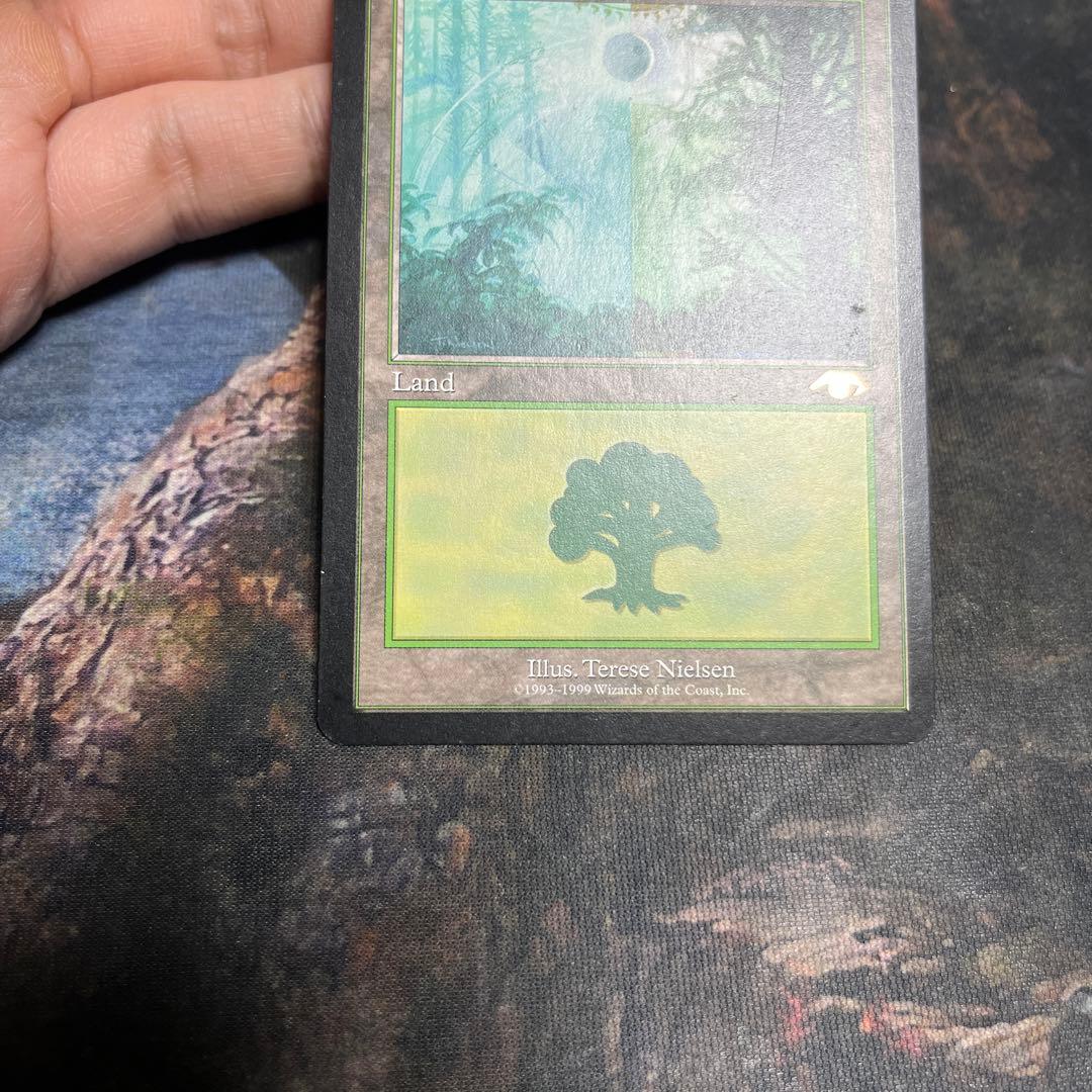 MTG グルランド　森　forest guru