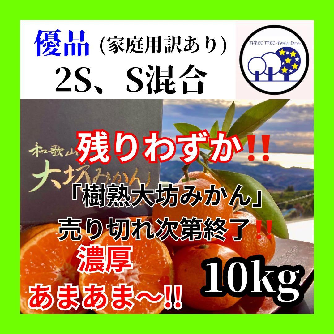 ⑥温州みかん 樹熟大坊みかん 優品(家庭用傷あり)2S、S、10kg