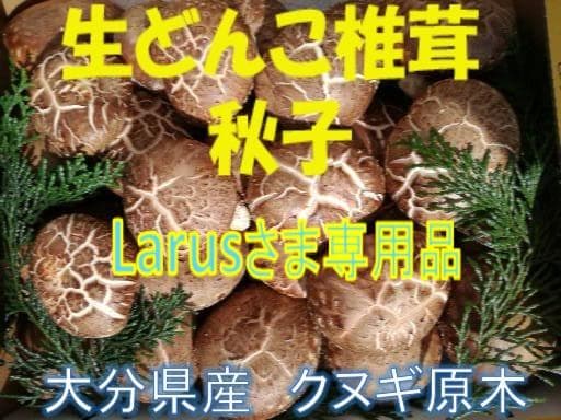 Larusさまご予約専用 大分県特産 生どんこ椎茸「秋子」ダブル2nd