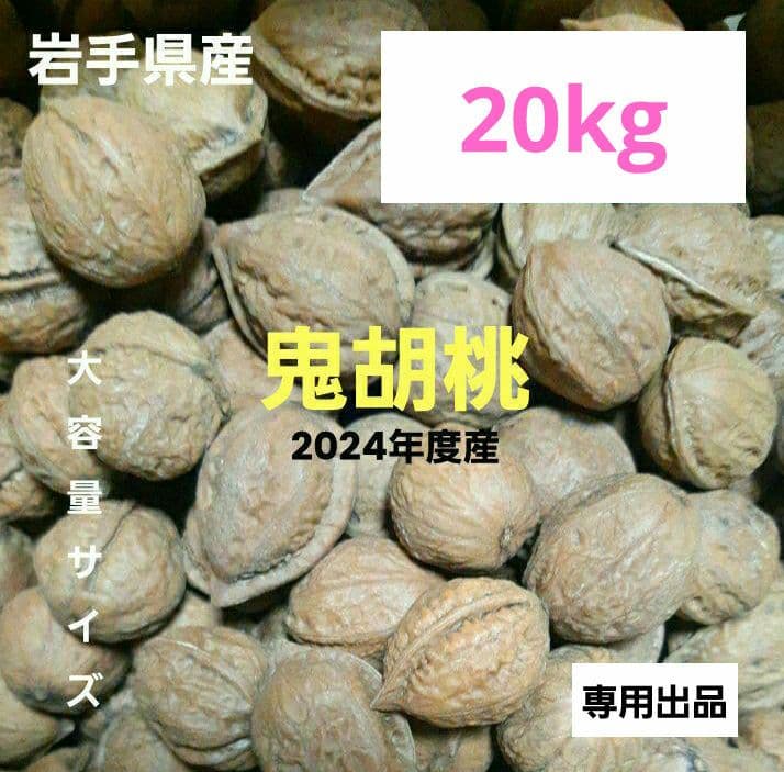 殻付き鬼胡桃[2024年度産 20kg] 　　★専用★