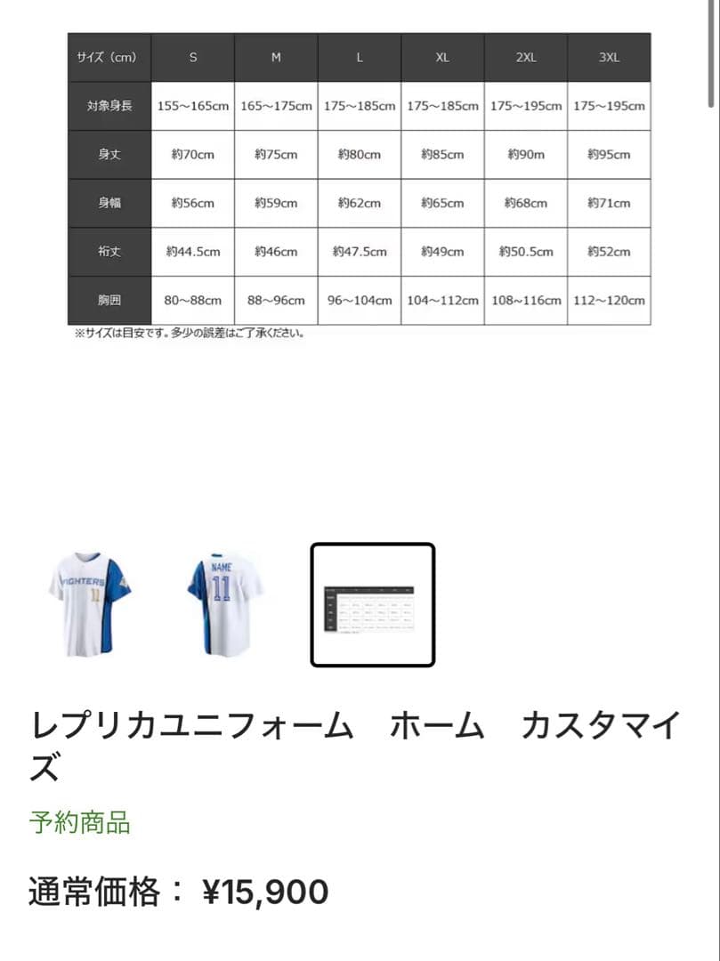 【美品】山崎福也選手　ユニフォーム　SACHIYA名前カスタム済み