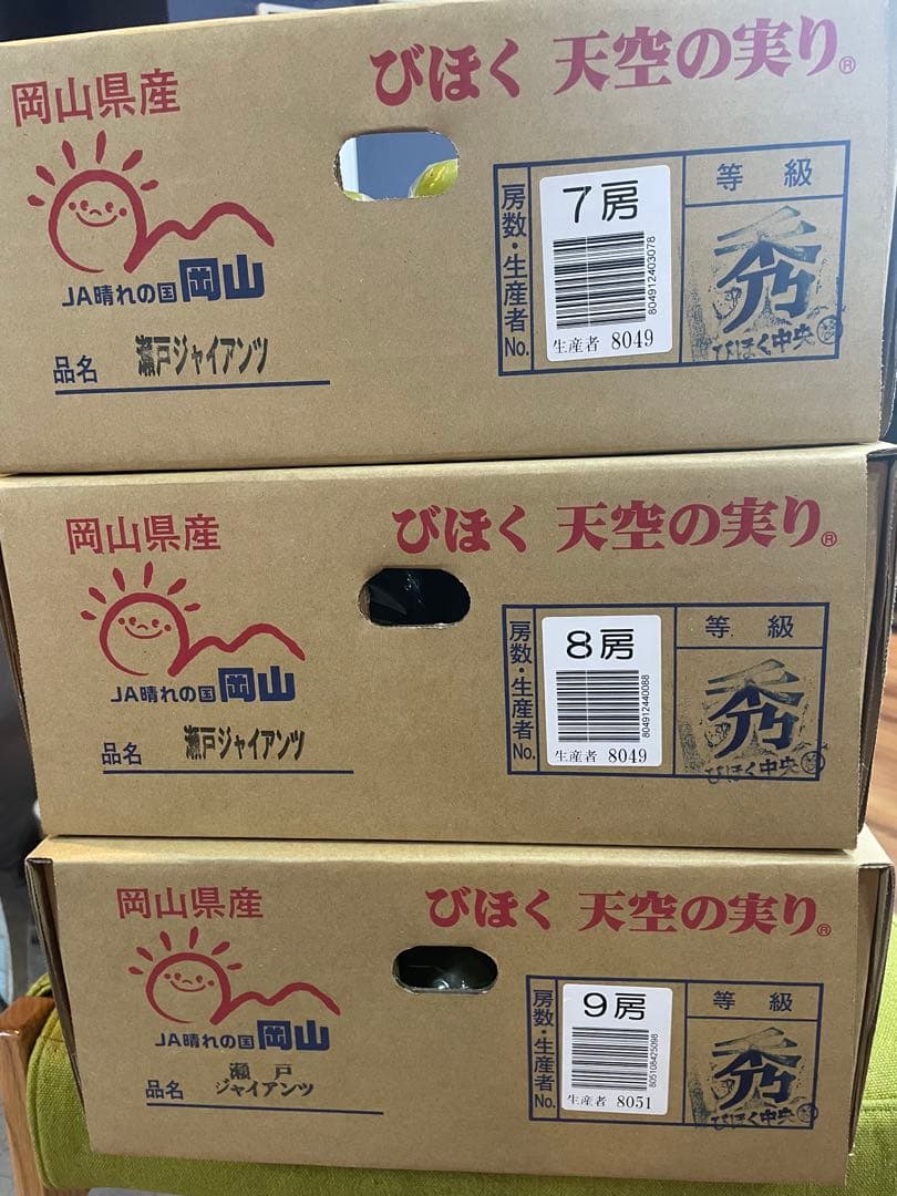 ②【岡山県産】瀬戸ジャイアンツ　7〜12房　約5キロ