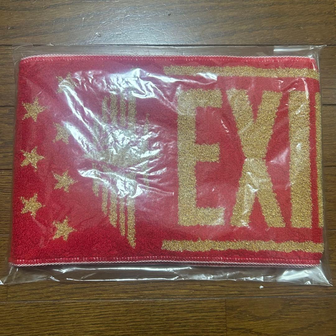 バラ売り可！EXILE EXILE THE SECONDライブグッズ10点セット