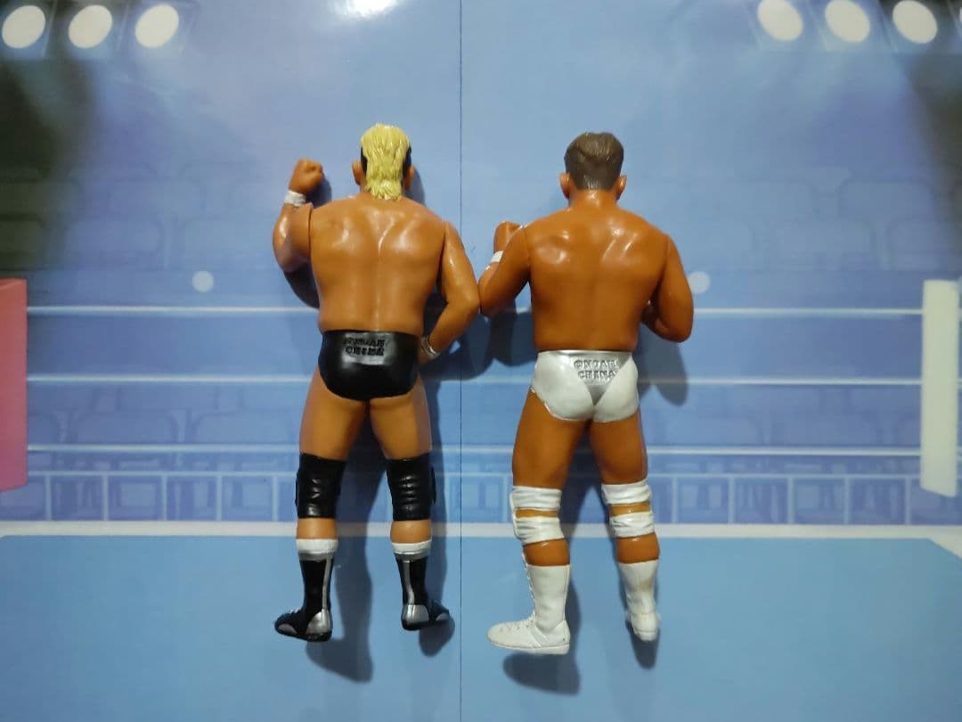 大森隆男　秋山準　プロレスフィギュアセット