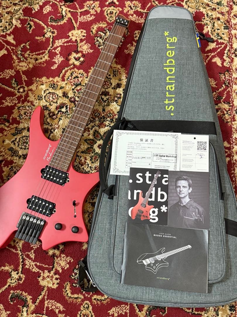 ギター Strandberg Boden Essential6 / Astro Dust