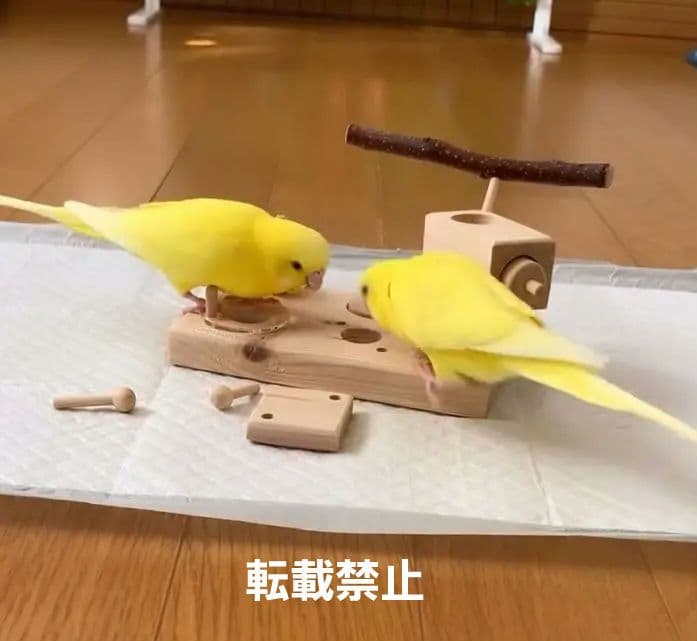 u70　⭐　フォージングトイセット⭐　輪投げ　バードトイ　文鳥　インコ