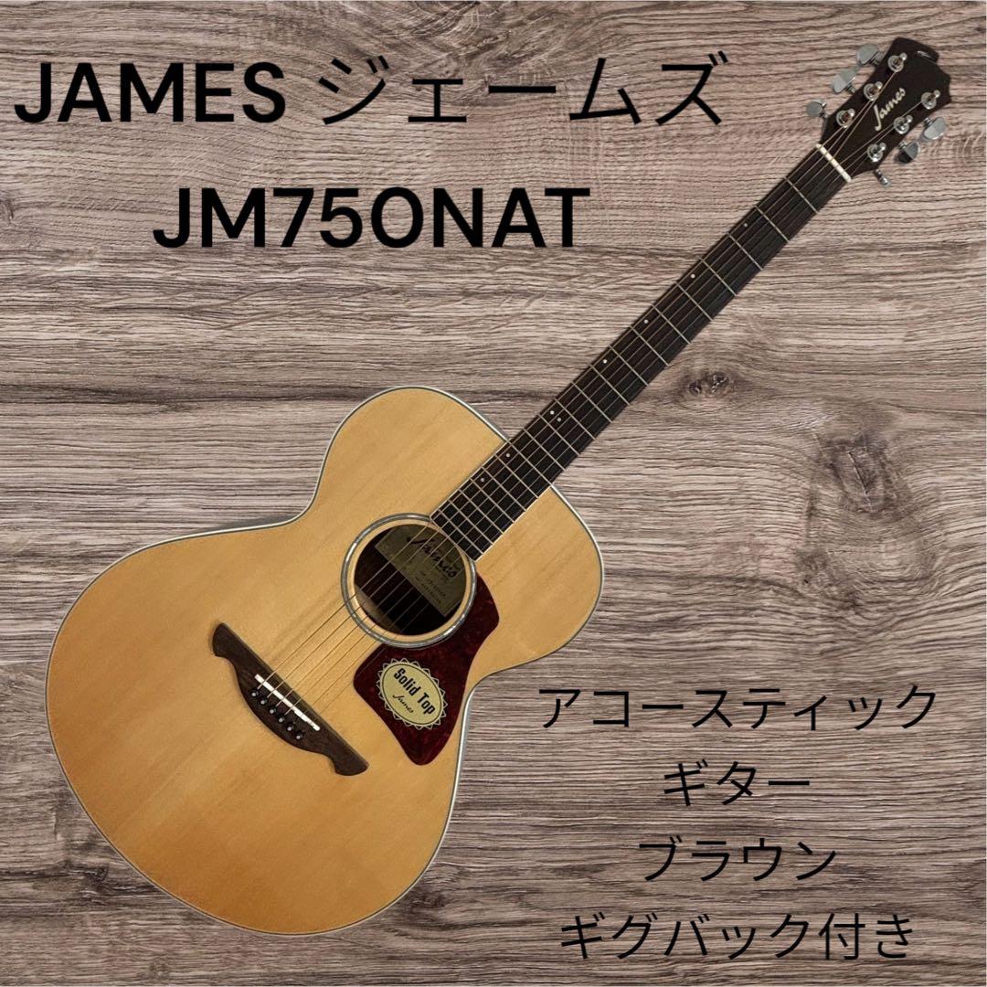 JAMES アコースティックギター JM750NAT
