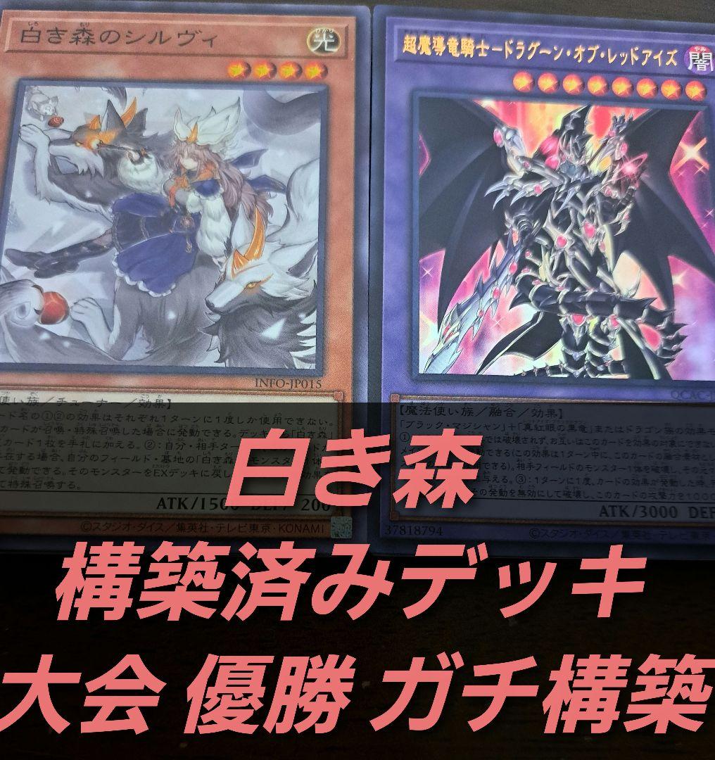 【大会優勝構築】遊戯王OCG　構築済みデッキ　白き森　ディアベルスター　本格ガチ