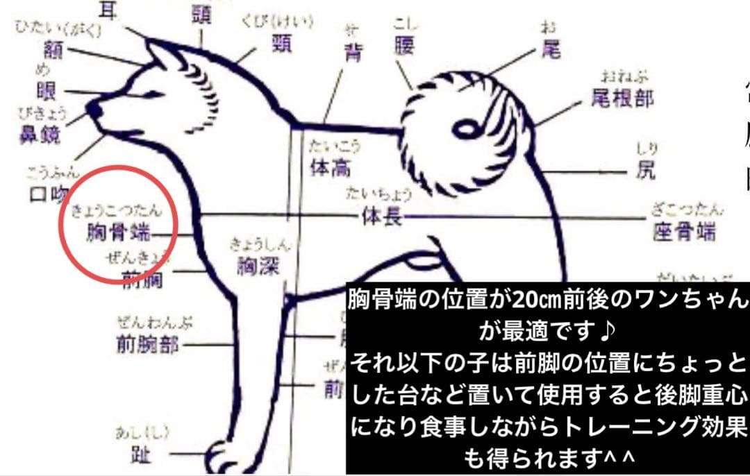 ⭐️ビンテージ風フードテーブル 小〜中型犬用⭐️