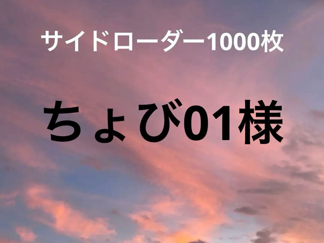 【新品】1000枚　横入　サイドローダートレカ　ケース　ワンピ　ポケカ　推し活