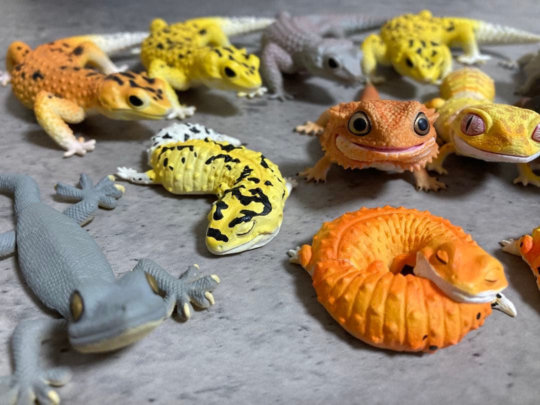 【単品購入⭕️】爬虫類/トカゲ まとめ売り