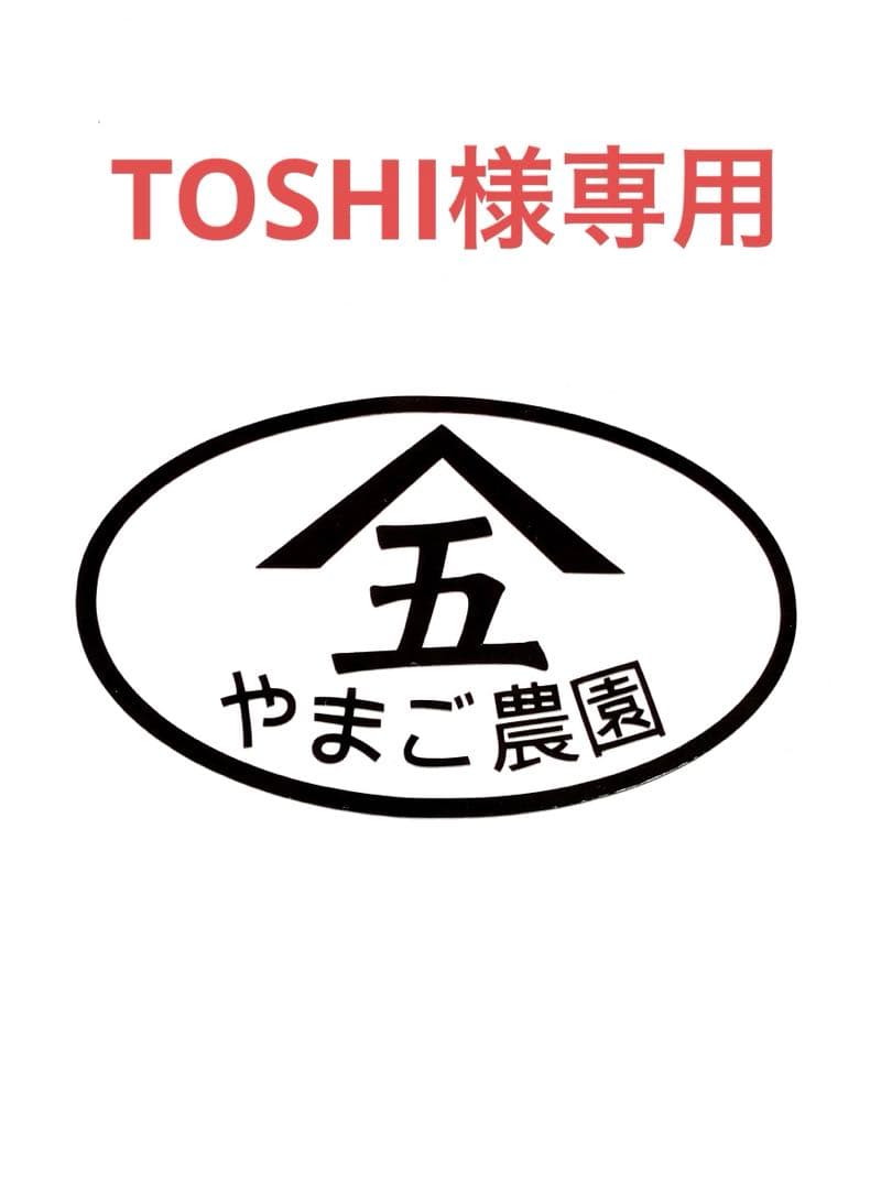 果物 211 TOSHI