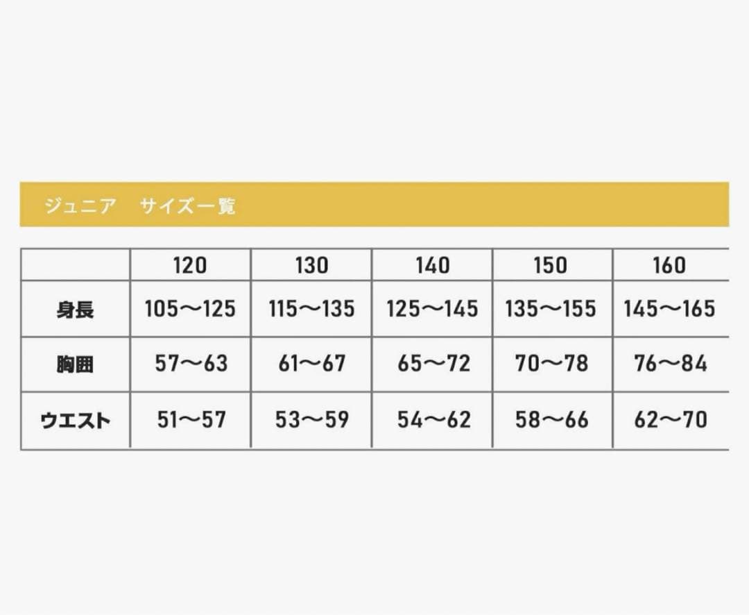 キッズ　ジュニア　スノーウェア・スキーウェアセット120cm