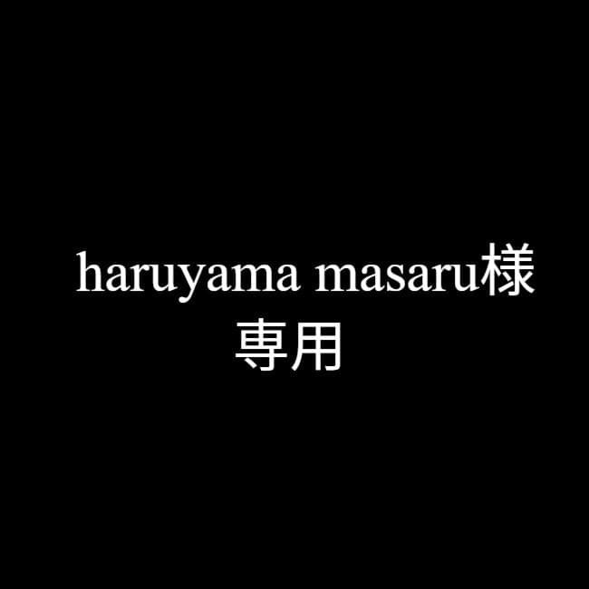 haruyama masaru
