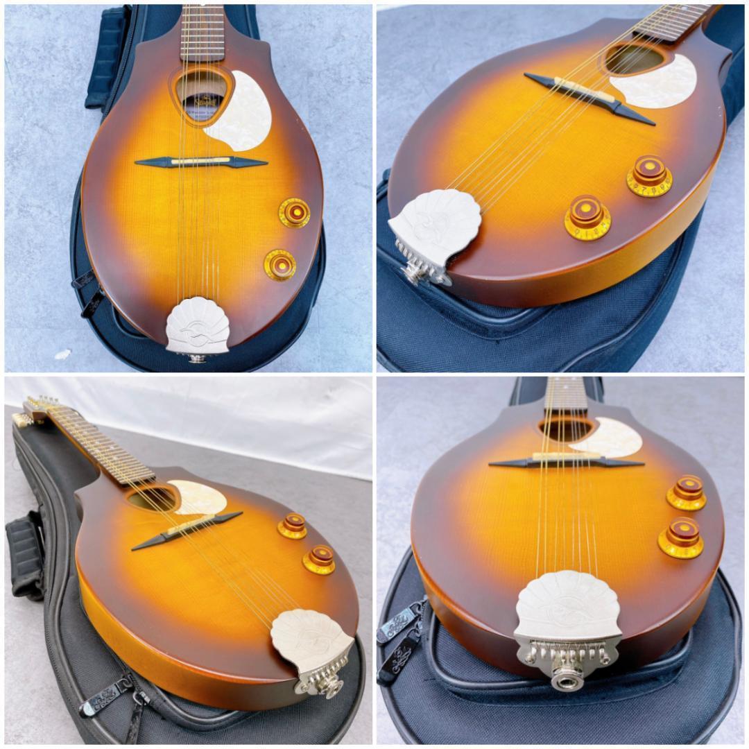 弦楽器 Seagull / S8 Mandolin Sunburst EQ