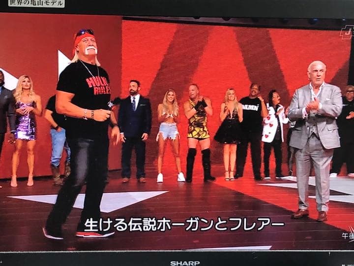 nWo(ホーガン、ナッシュ、ホール) ジャックスWWE フィギュア