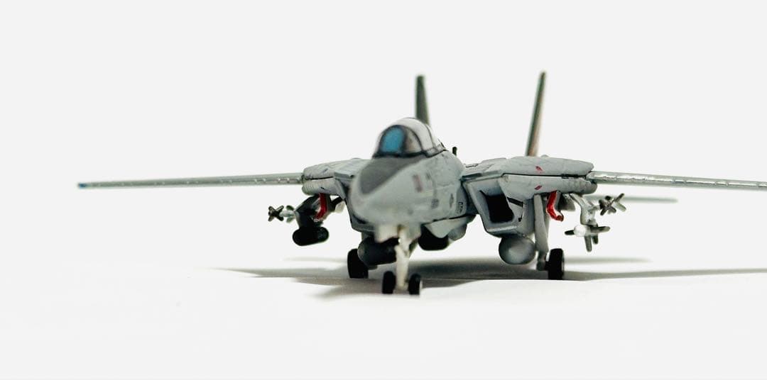 hogan 1/200 F-14 VF-154 箱無し