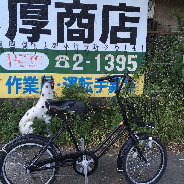 自転車20インチ ブラック