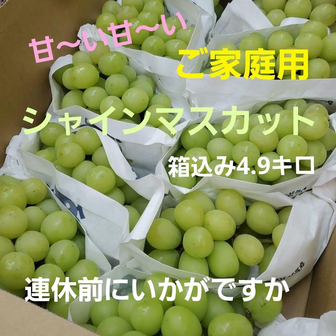 2️⃣ 山梨県産 激甘 シャインマスカット １０房入り 箱込み4.9キロ