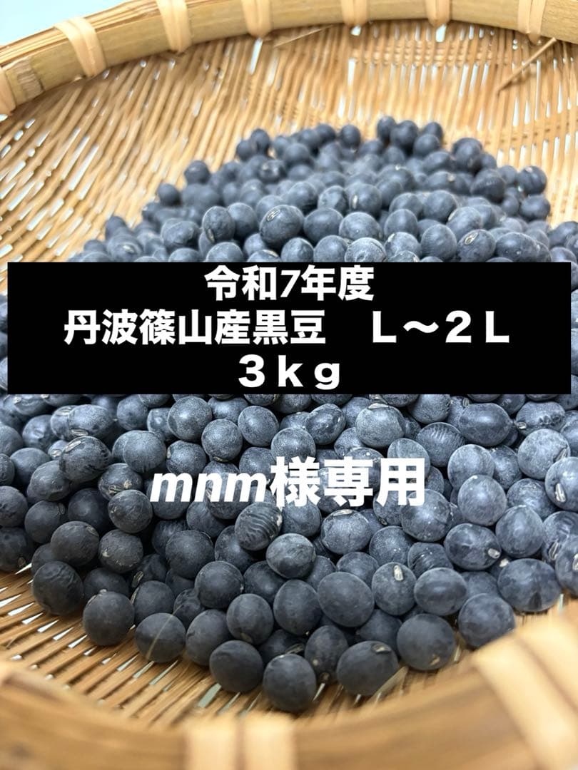 丹波篠山産黒豆　令和7年産　Ｌ〜２Ｌ　３ｋｇ　mnm