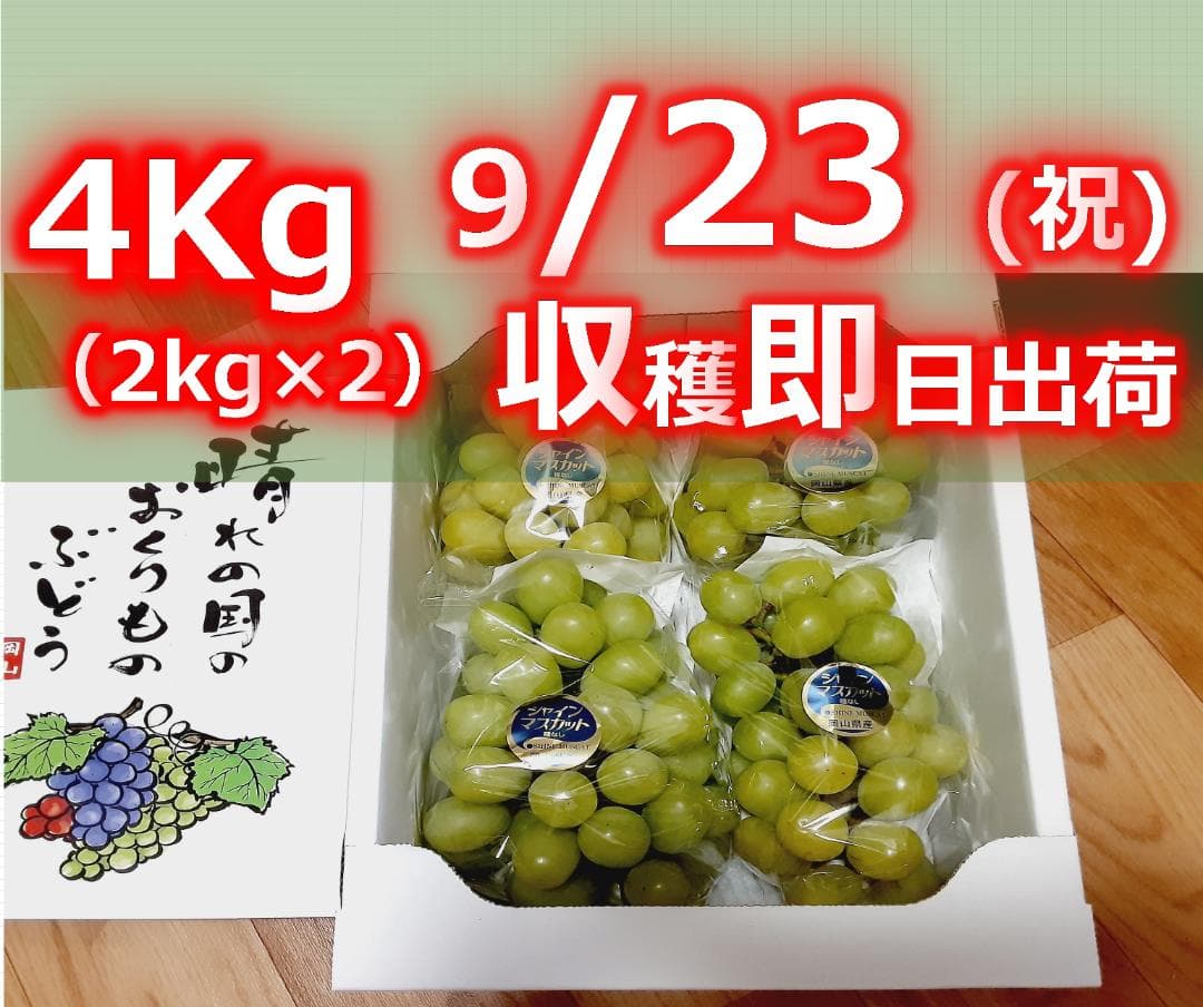 9/23発送（送料込）岡山県産シャインマスカット　４kg