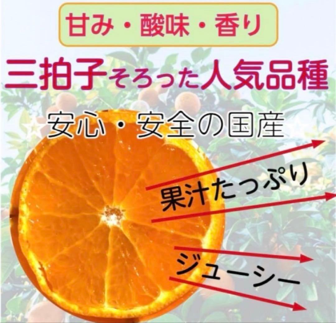 ひー様♡酵素栽培ネーブル &瀬戸田レモン　皮も食べてね　グリグリーン農園