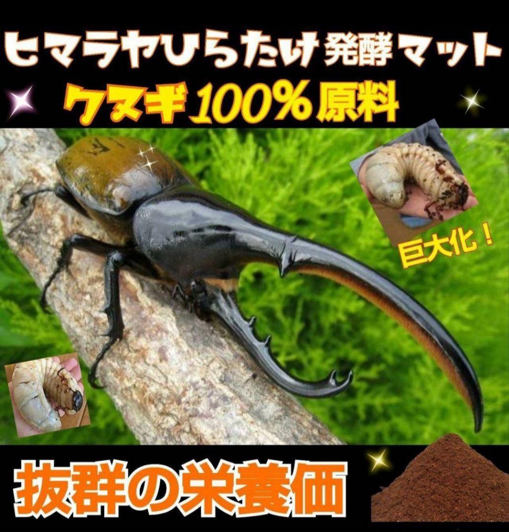 たっぷり60リットル　カブトムシ幼虫が大きくなります！発酵マット　雑虫がわかない
