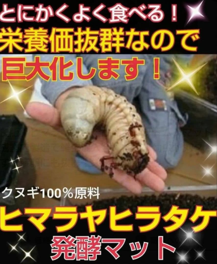 たっぷり60リットル　カブトムシ幼虫が大きくなります！発酵マット　雑虫がわかない