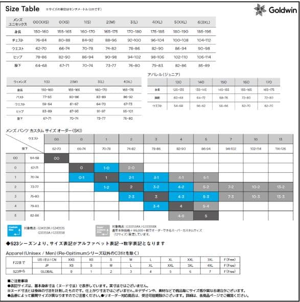 【GOLDWINゴールドウィン】スキーウェア ジャケット 上着