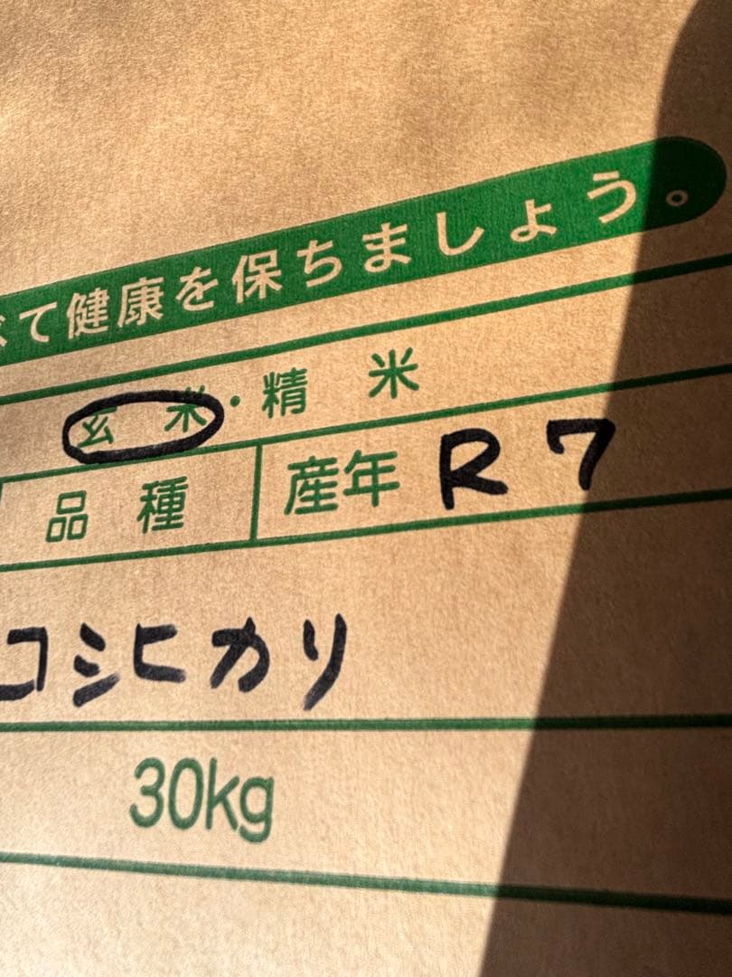 令和7年度コシヒカリ 玄米30キロ