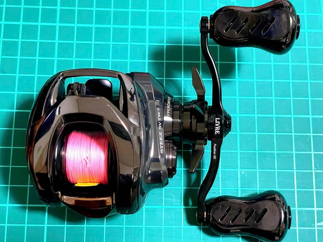 【DAIWA】24 STEEZ SV TW 100H ㊨