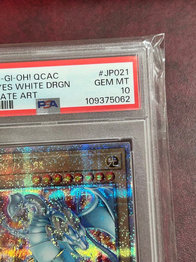 PSA10 連番 ブラックマジシャン 青眼の白龍 25th クオシク 絵違い