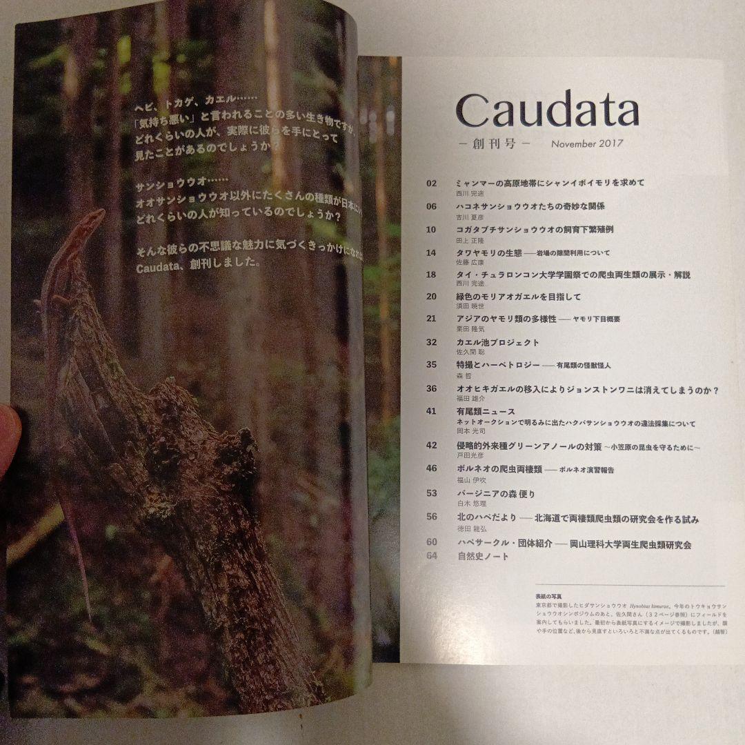 Caudata 創刊号
