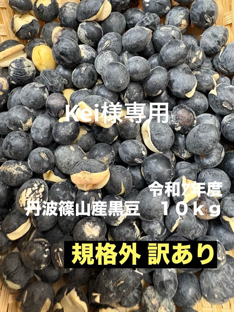 丹波篠山産黒豆　令和7年産 規格外 訳あり 10ｋｇ Kei