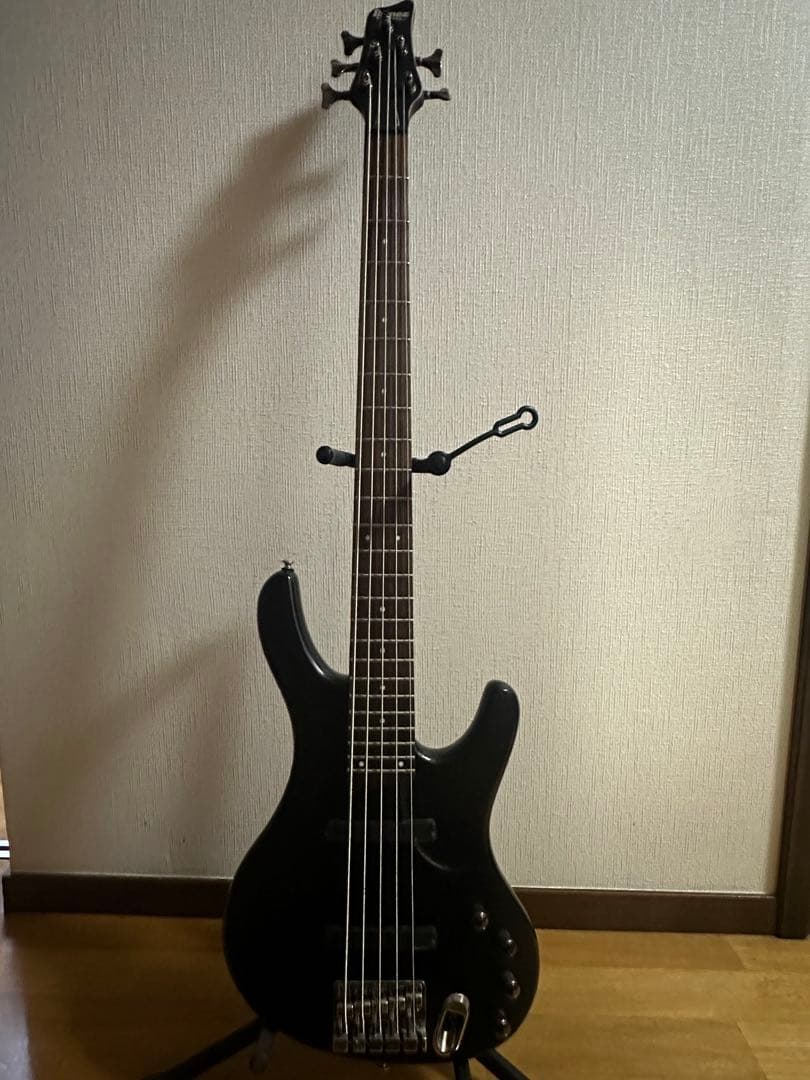 Ibanez アイバニーズ　EDB555 Ergodyne 5弦ベース