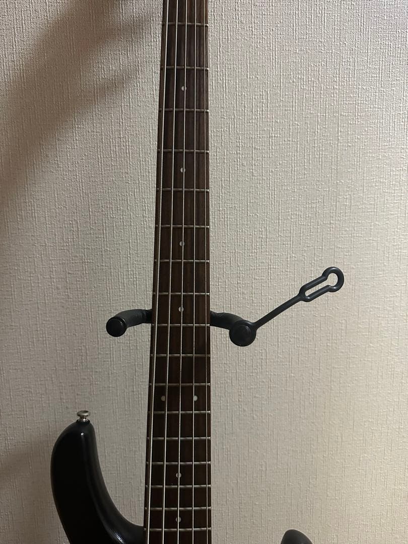 Ibanez アイバニーズ　EDB555 Ergodyne 5弦ベース
