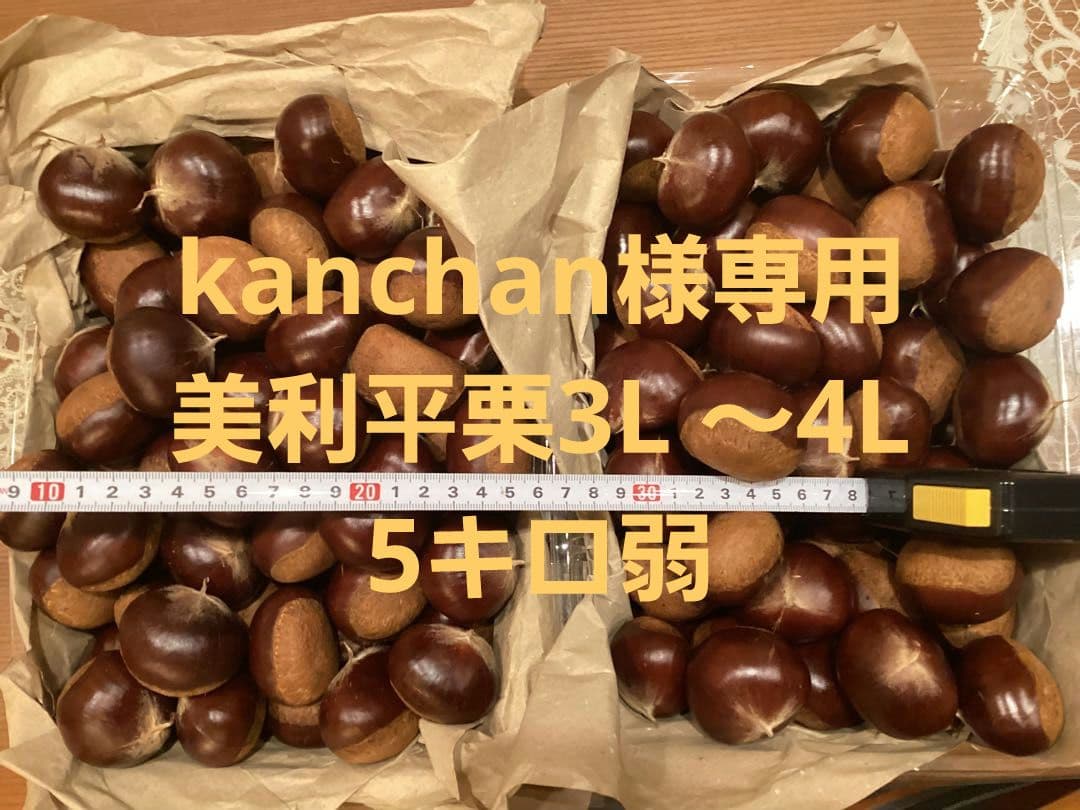 kanchan　利平栗