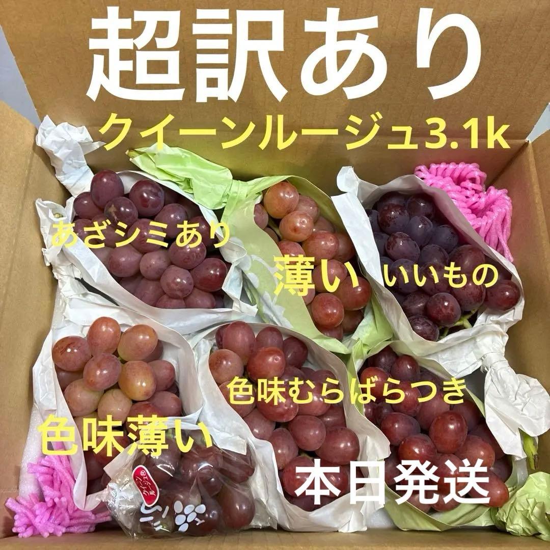 超訳あり本日発送クイーンルージュ約3.1k/家庭用/加工用/お菓子作りに
