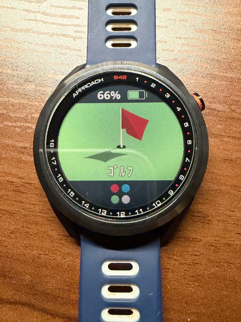 GARMIN APPROACH S42 ゴルフGPSナビ