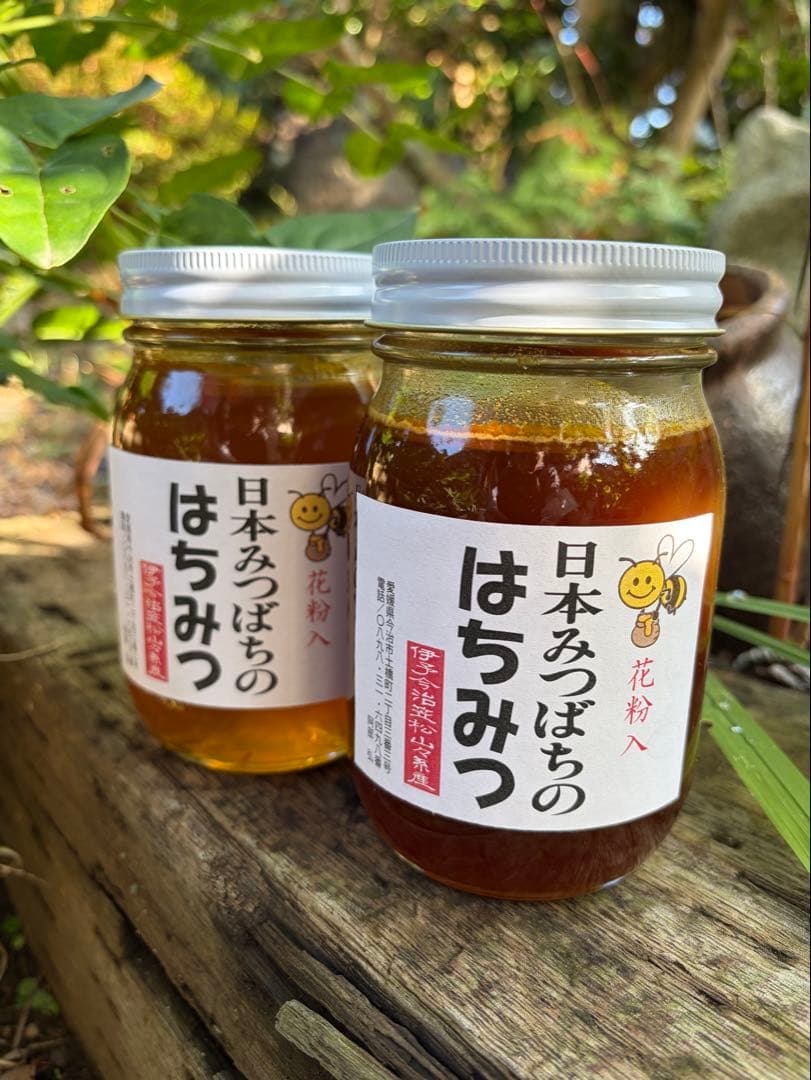 はちみつ　日本蜜蜂のハチミツ　奥山の蜂蜜　花粉入り　２種
