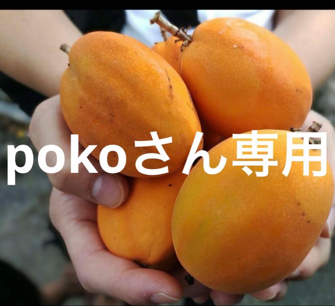 pokoさん専用です