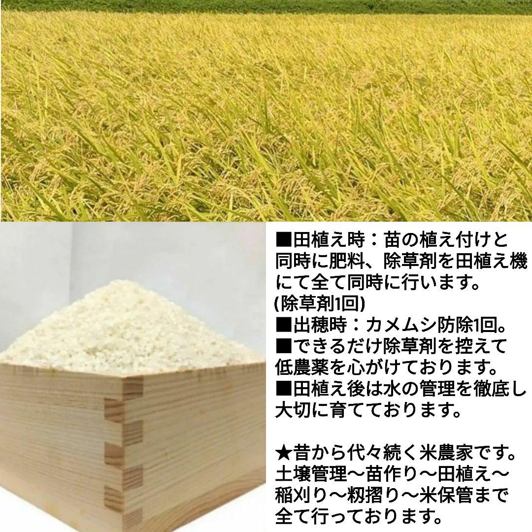 令和7年産 茨城県産 コシヒカリ 白米 精米代込み 10Kg 10キロ a